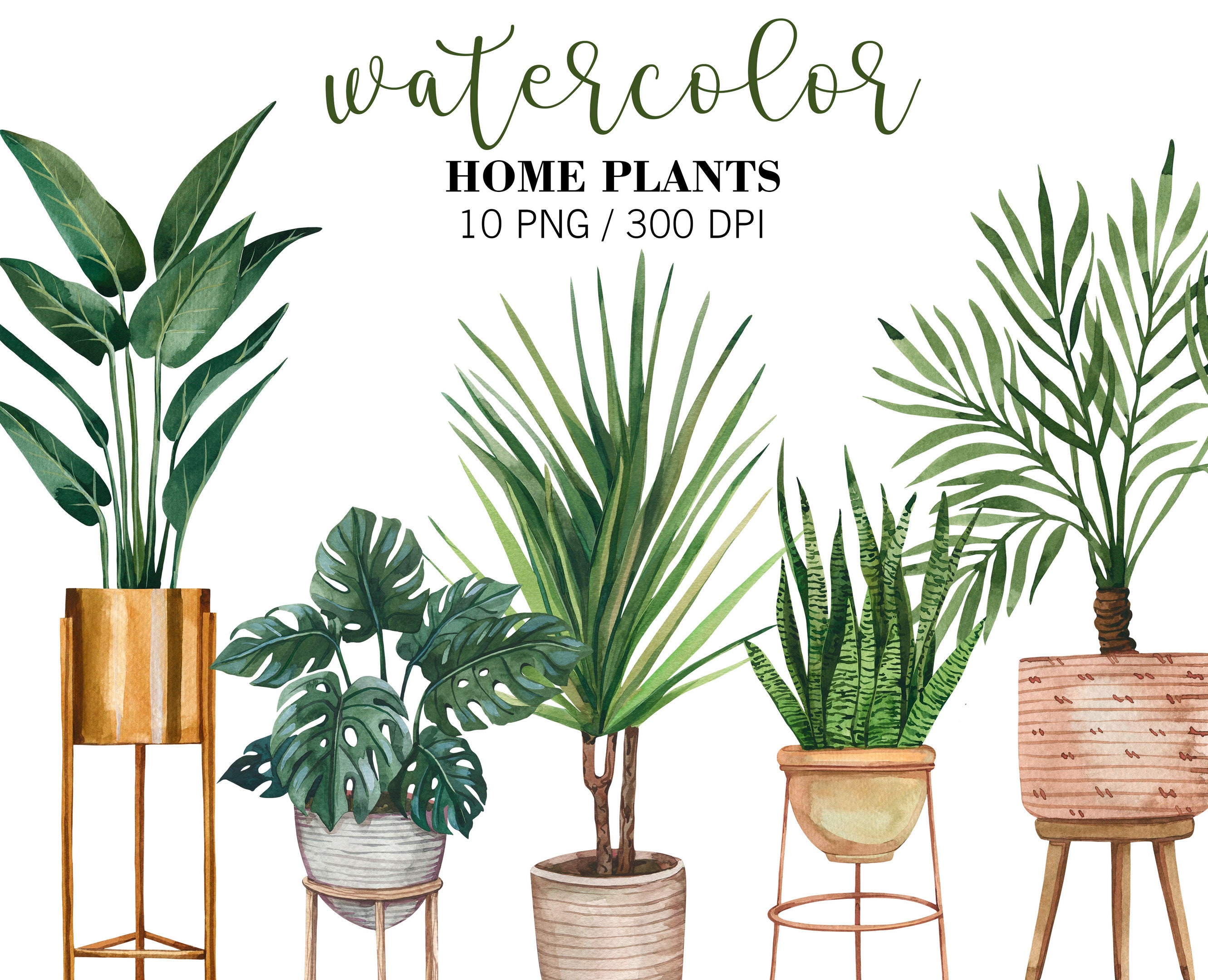 Watercolor Home Plants Clipart Potted Plants Clipart Indoor - Etsy