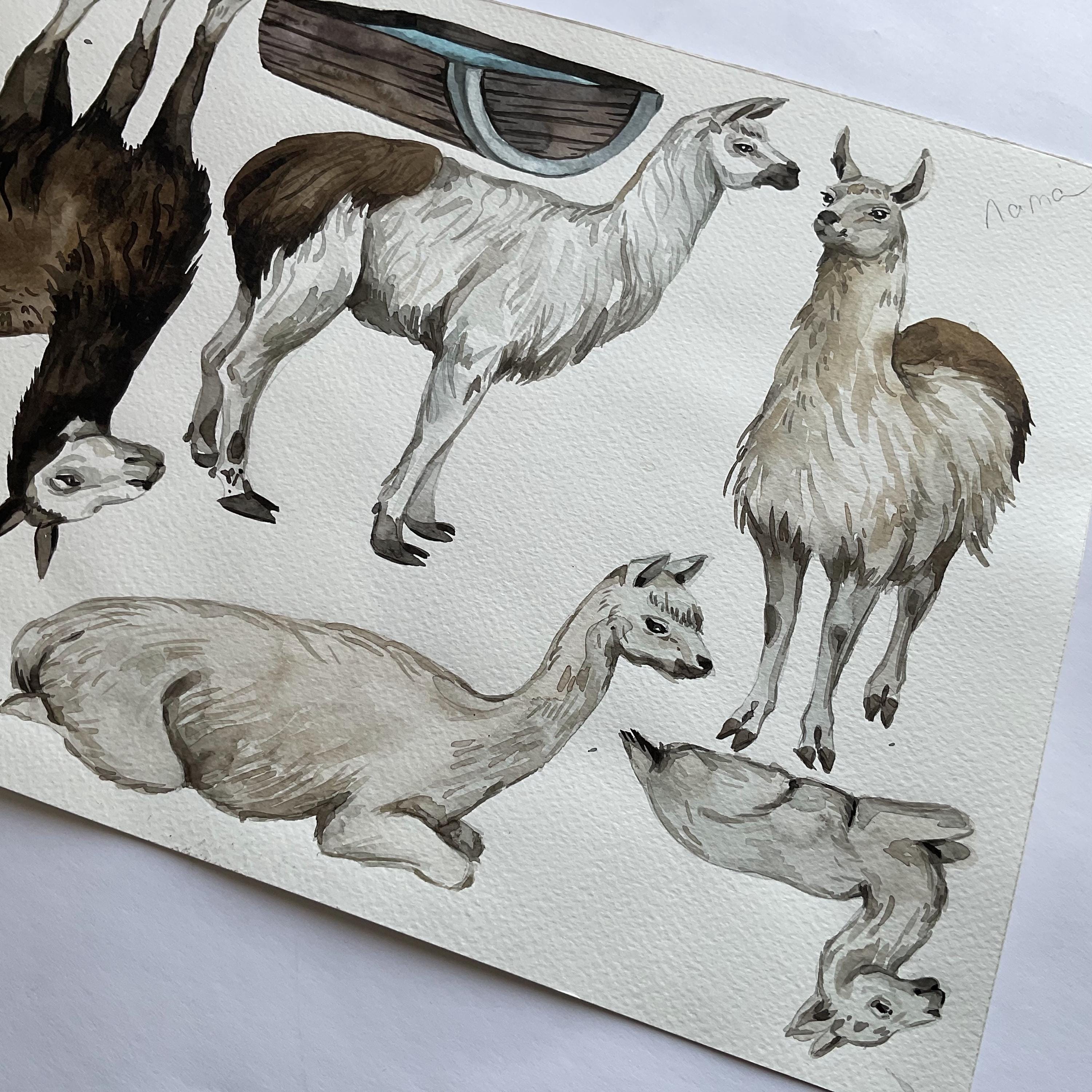 Watercolor Llamas Clipart, Nursery Decor, PNG, Mexico, Alpaca ...