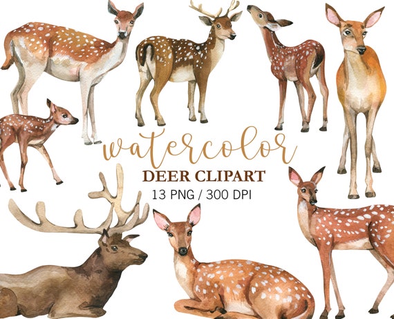 Watercolor Deer Clipart Nursery Decor Deer PNG Watercolor | Etsy