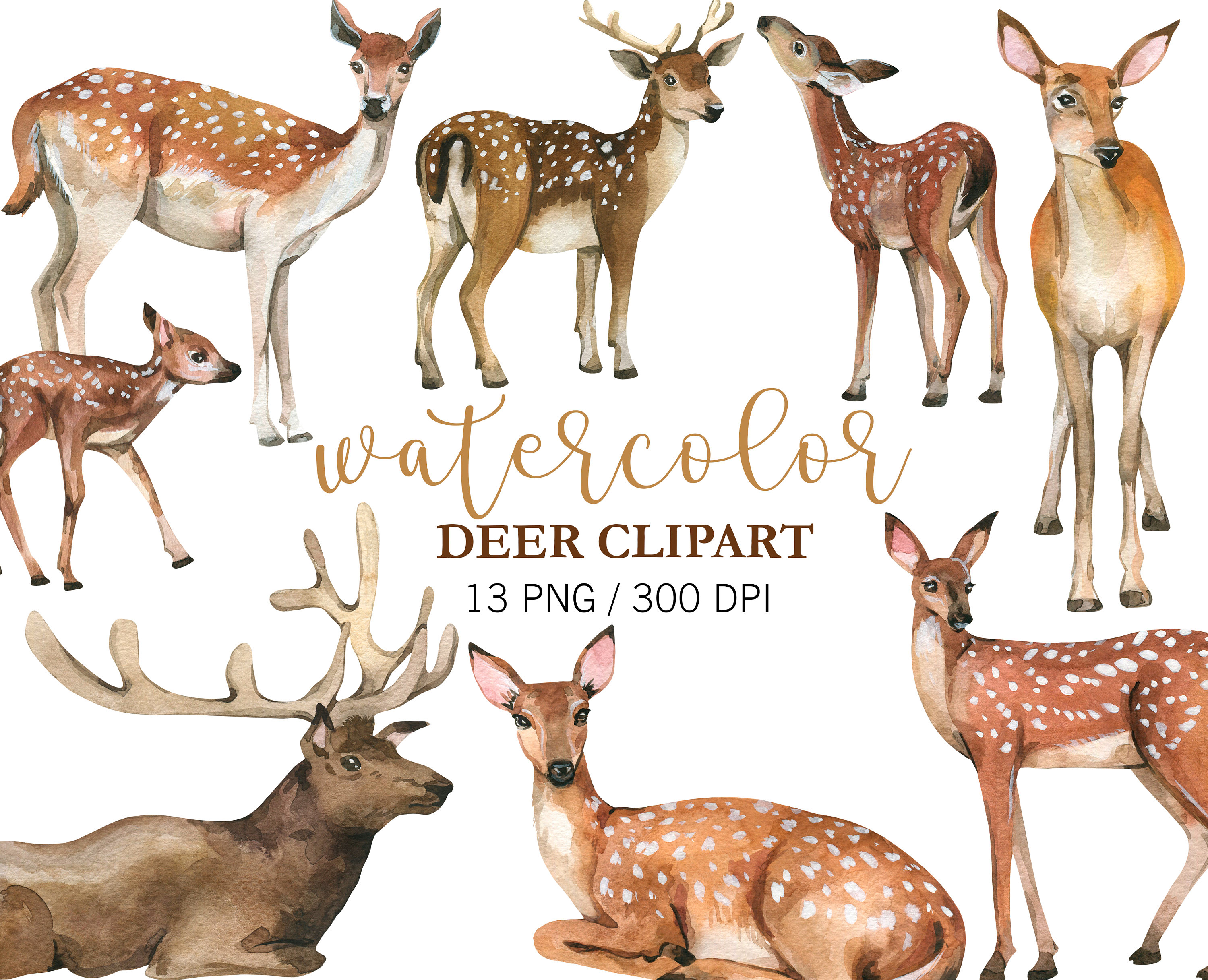 Watercolor Deer Clipart Nursery Decor Deer PNG Watercolor - Etsy