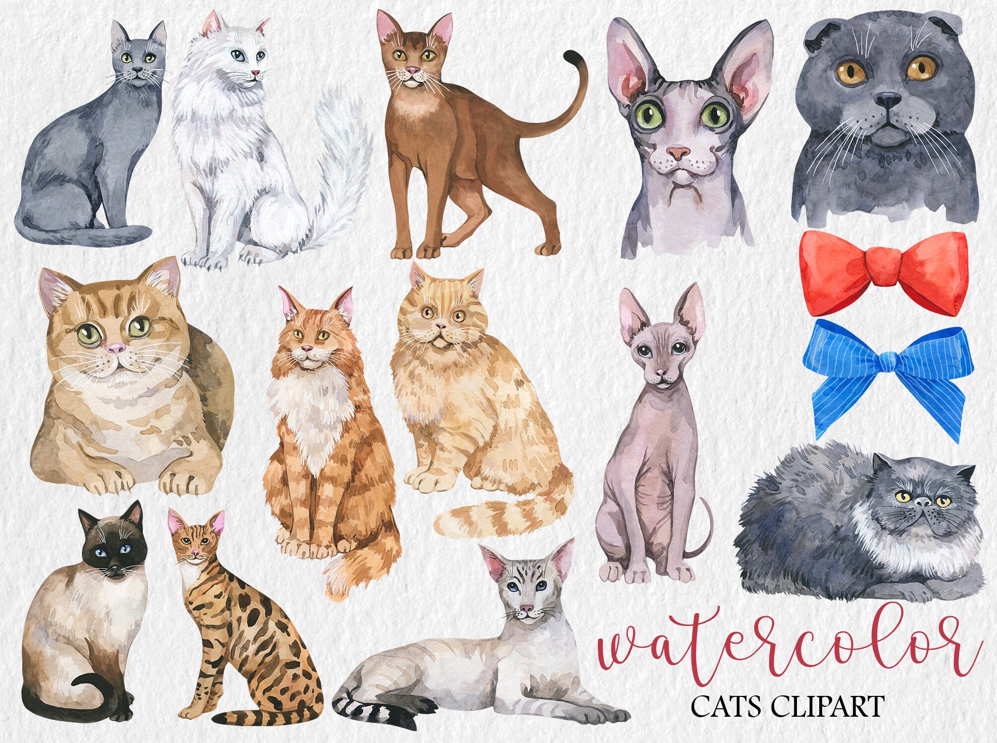 Watercolor Cat Clipart Animal Clipart Cats Portrait Nursery - Etsy ...