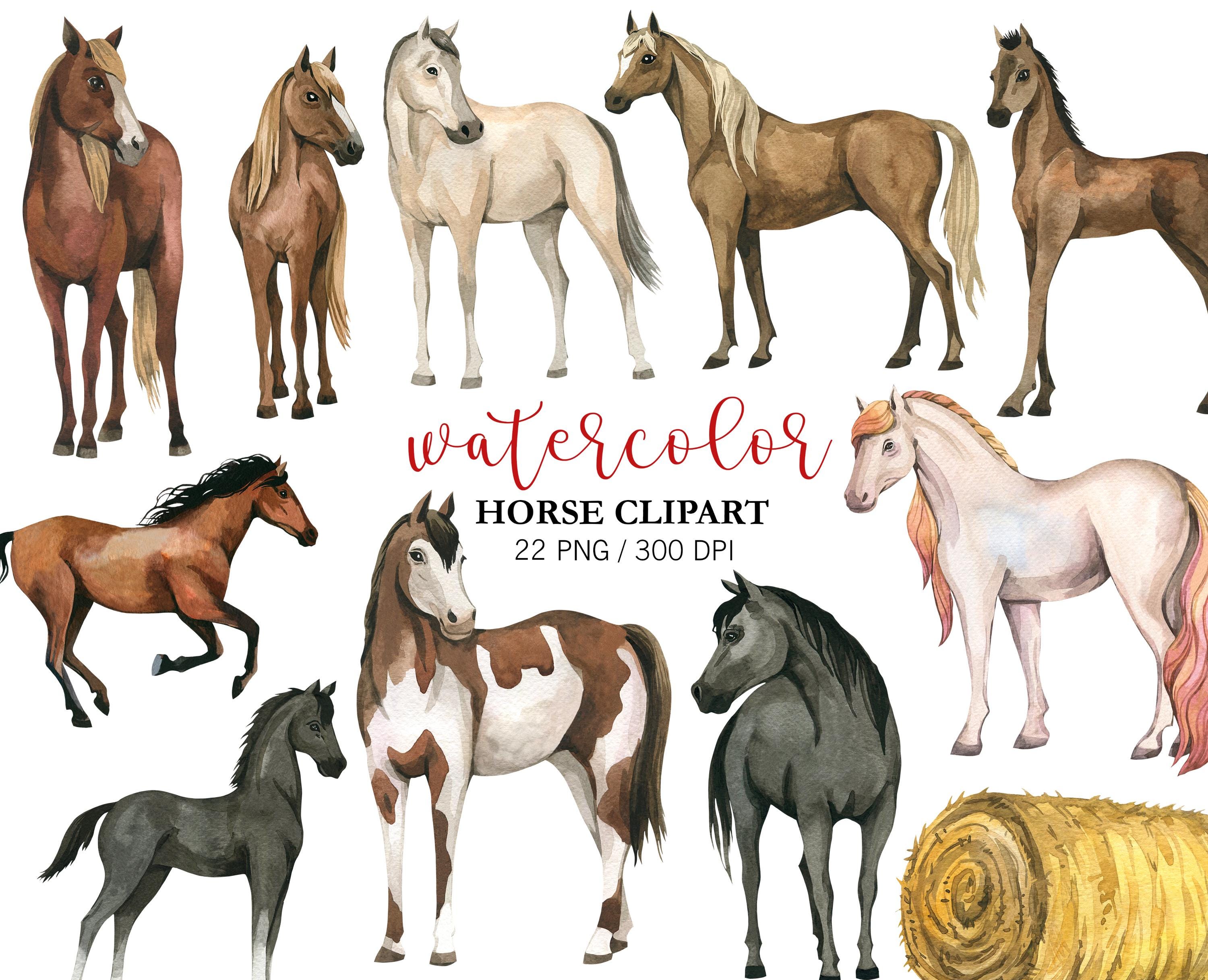 Watercolor Horse Clipart, Animal Clipart, Nursery Decor, Horse PNG ...
