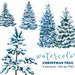 Watercolor Snowy Pine Tree Clipart Pine Tree PNG Christmas | Etsy