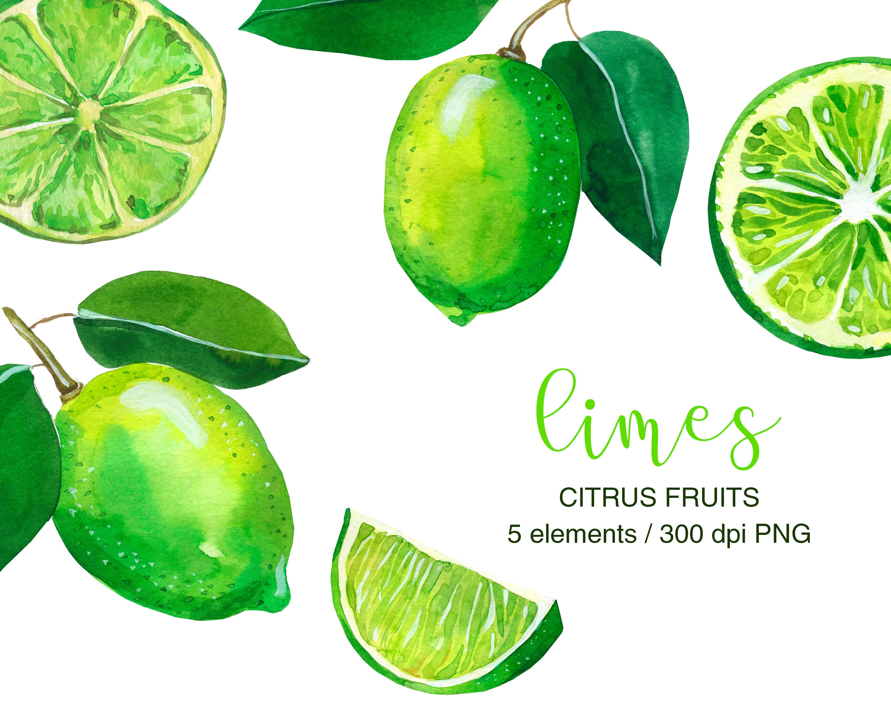 Watercolor Citrus Fruits Clipart Citrus Clipart Lemon PNG | Etsy