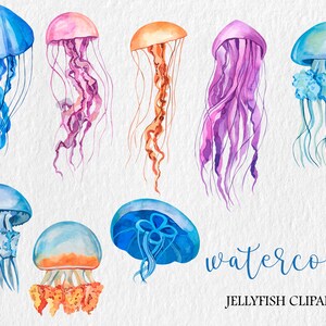 Watercolor Jellyfish Clipart, Summer Clipart, PNG, Under the Sea, Sea ...