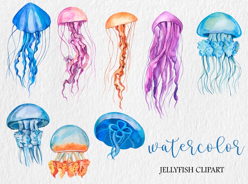 Watercolor Jellyfish Clipart Summer Clipart PNG Under the - Etsy