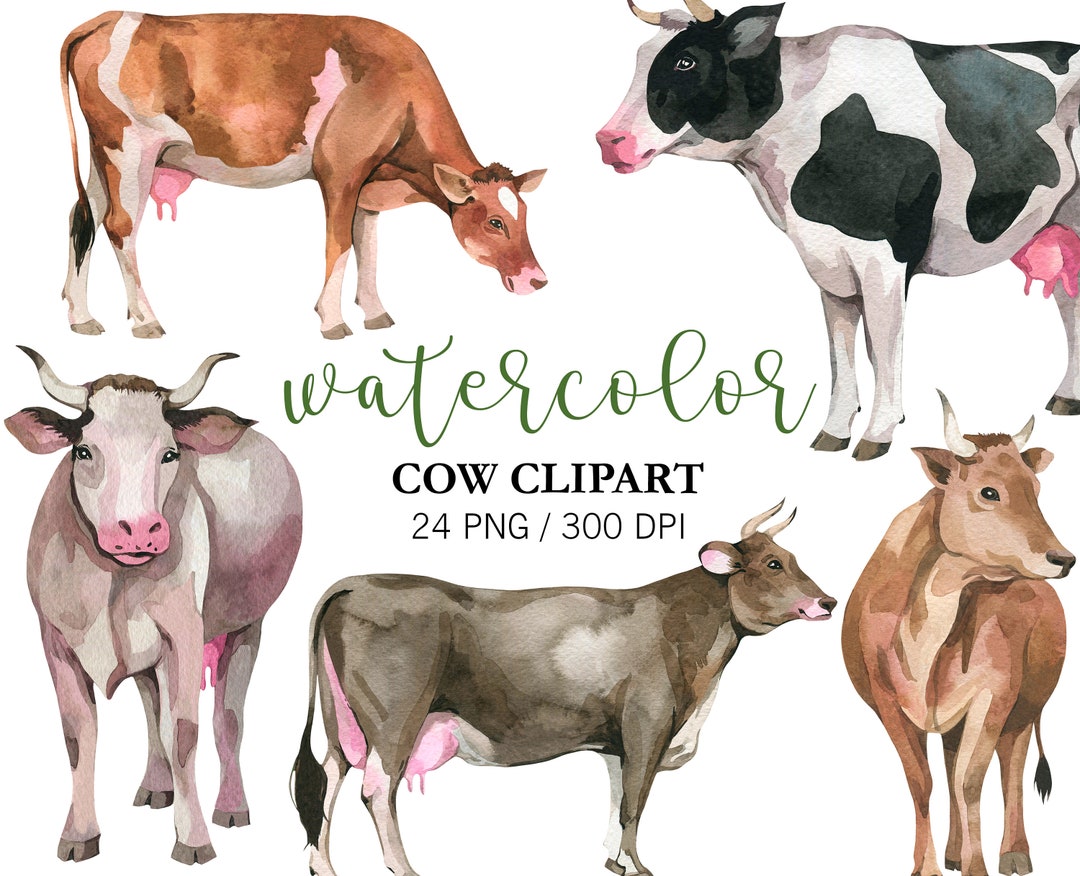 Watercolor Cow Clipart, Farm Clipart, Nursery Decor, PNG, Watercolor ...