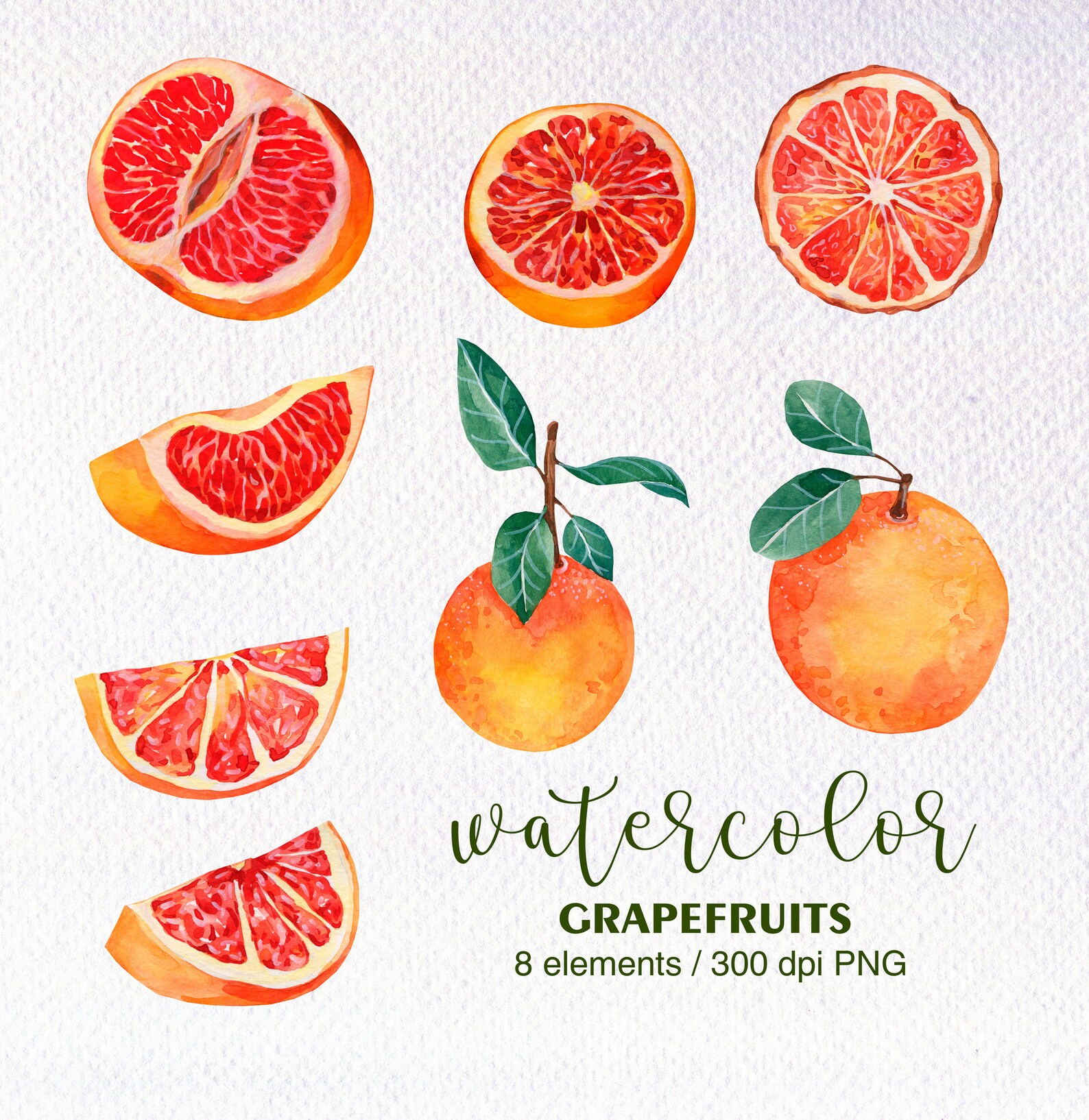 Grapefruit Clipart Watercolor Citrus Clipart Citrus Fruit - Etsy