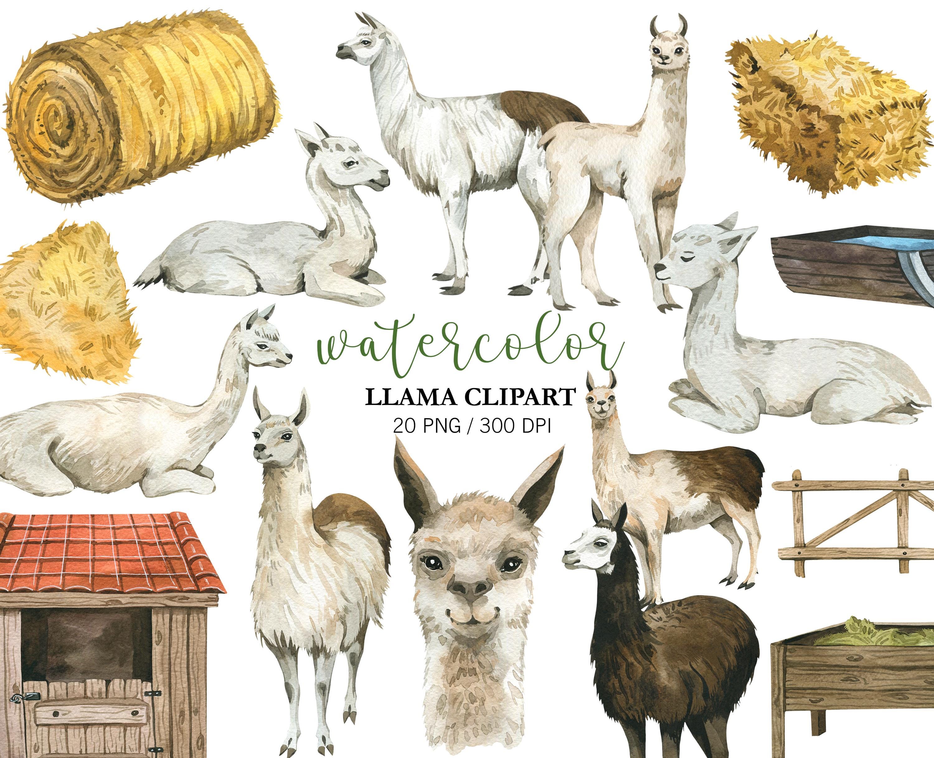 Watercolor Llamas Clipart, Nursery Decor, PNG, Mexico, Alpaca ...