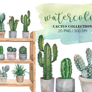 Watercolor Cactus Clipart, Cactus PNG, Cactus Print, Succulent Clipart ...