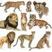 Watercolor Wild Cats Clipart, Animals Clipart, Nursery Decor, PNG, Lion ...