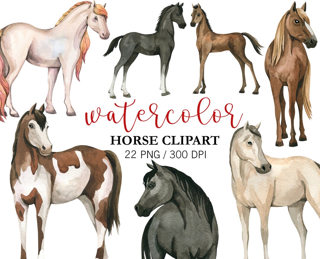 Watercolor Horse Clipart, Animal Clipart, Nursery Decor, Horse PNG ...