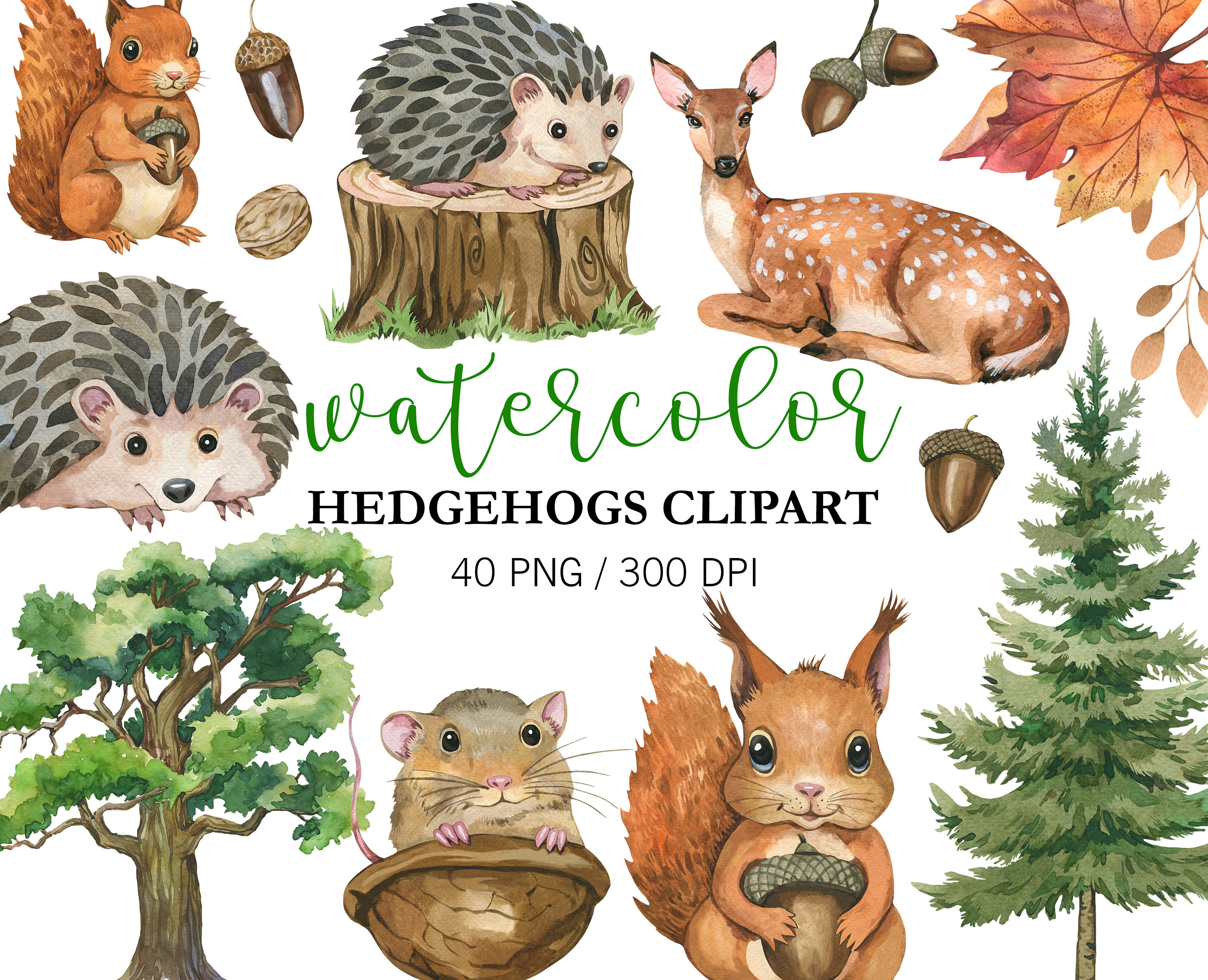 Watercolor Forest Animal Clipart PNG, Watercolor Animals Clipart ...