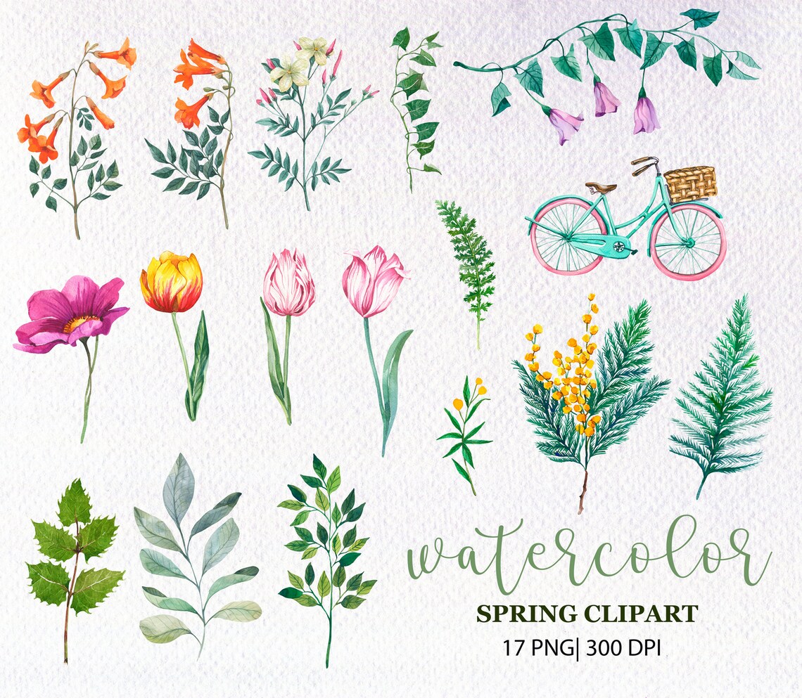 Watercolor Flowers Clipart Floral Clipart Watercolor - Etsy