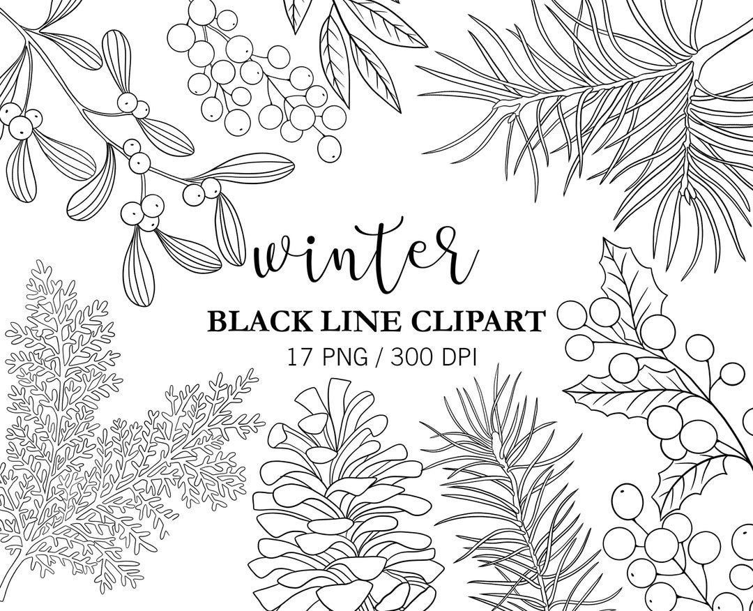 Pine Cone Black Line Clipart: Winter Holiday Illustration PNG Digital ...