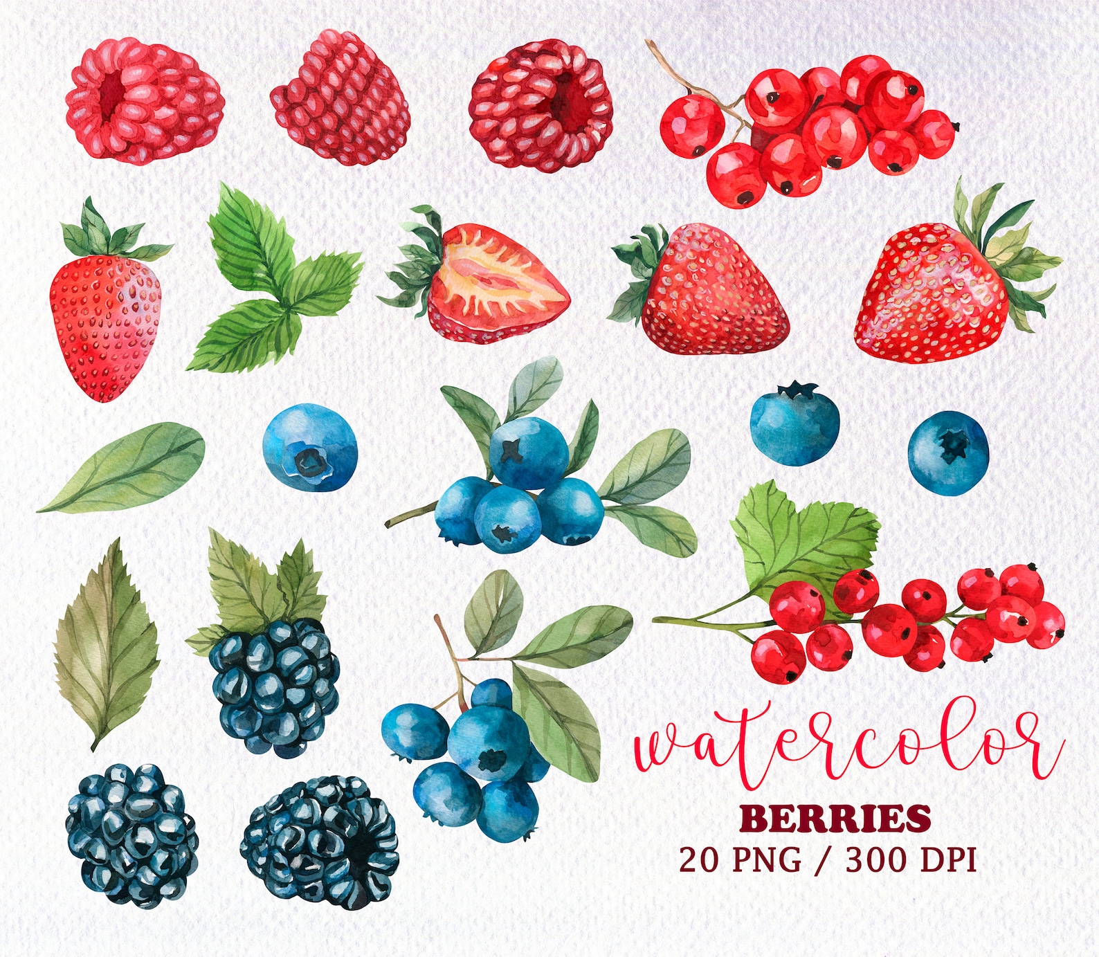 Watercolor Berries Clipart Summer Clipart Hand Drawn - Etsy