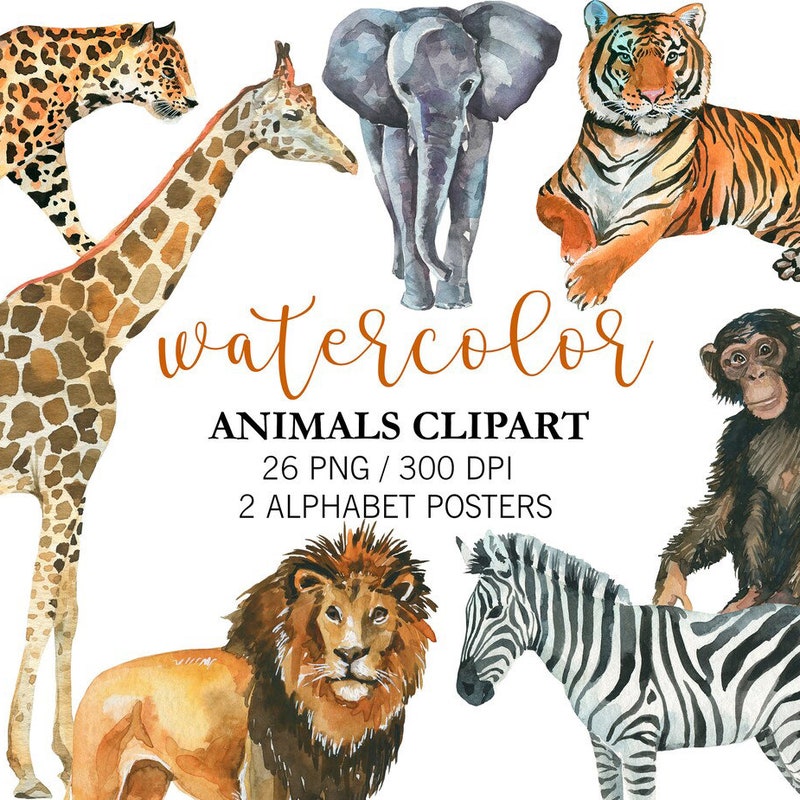 Nursery Watercolor Alphabet - Etsy