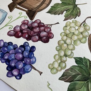 Watercolor Grape Clipart, Grape Wine Clip Art, Fall Clipart, PNG ...