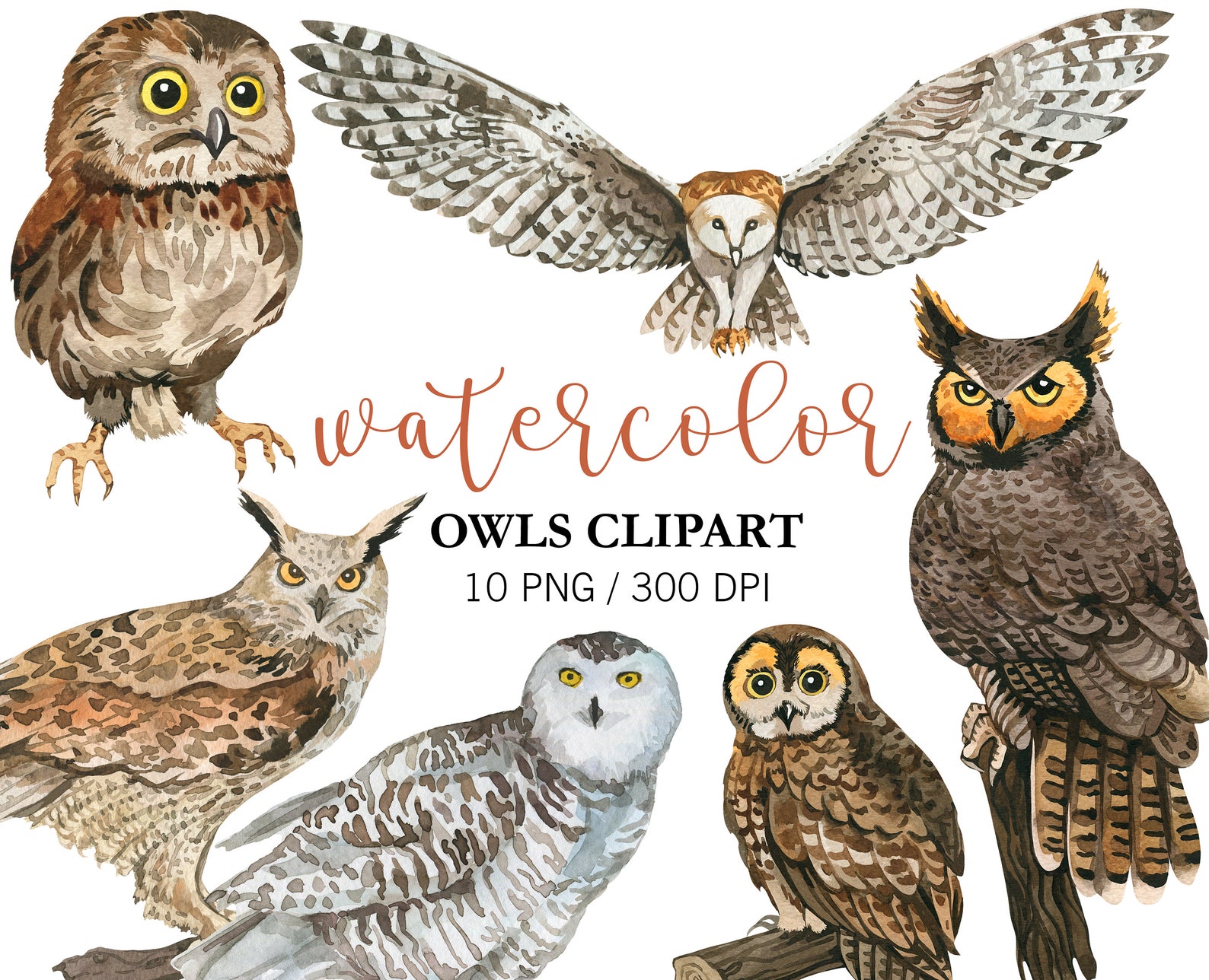 Watercolor Owls Clipart Woodland Forest Clipart Nursery - Etsy