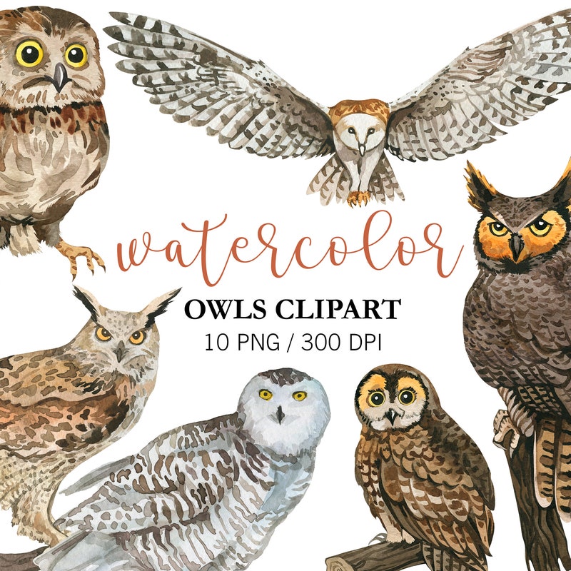 Watercolor Owls - Etsy