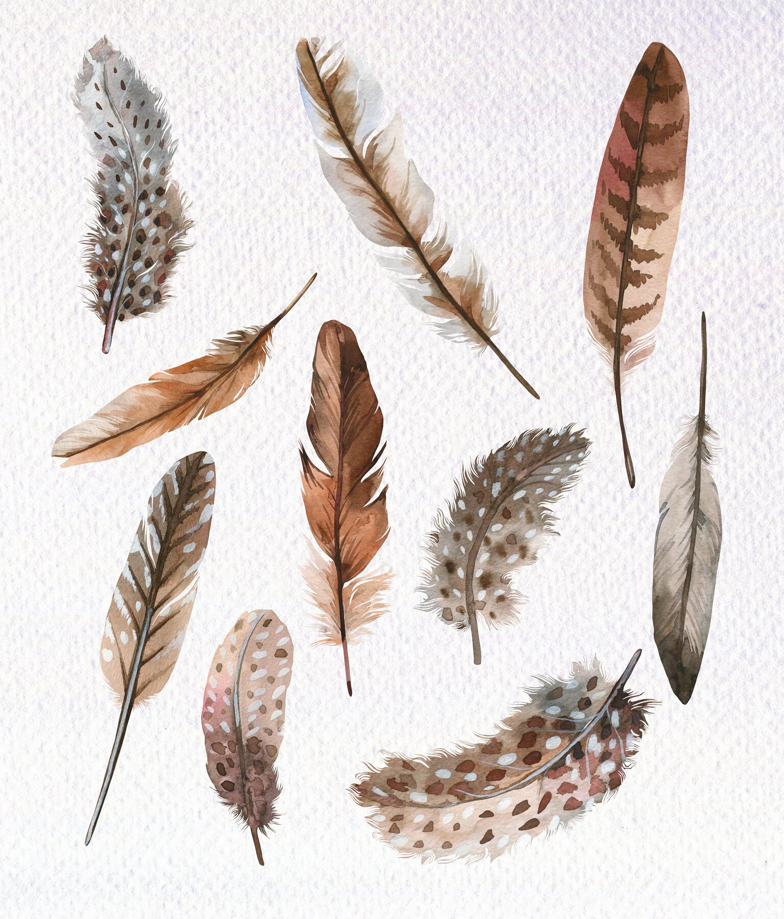 Watercolor Feathers Clipart Hand Painted Feathers Feather - Etsy