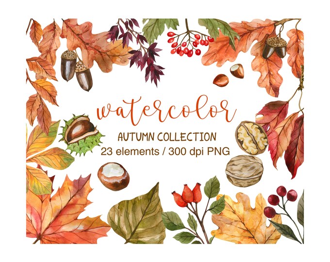 Thanksgiving Clipart, Watercolor Clipart, Fall Clipart, Autumn Clipart ...