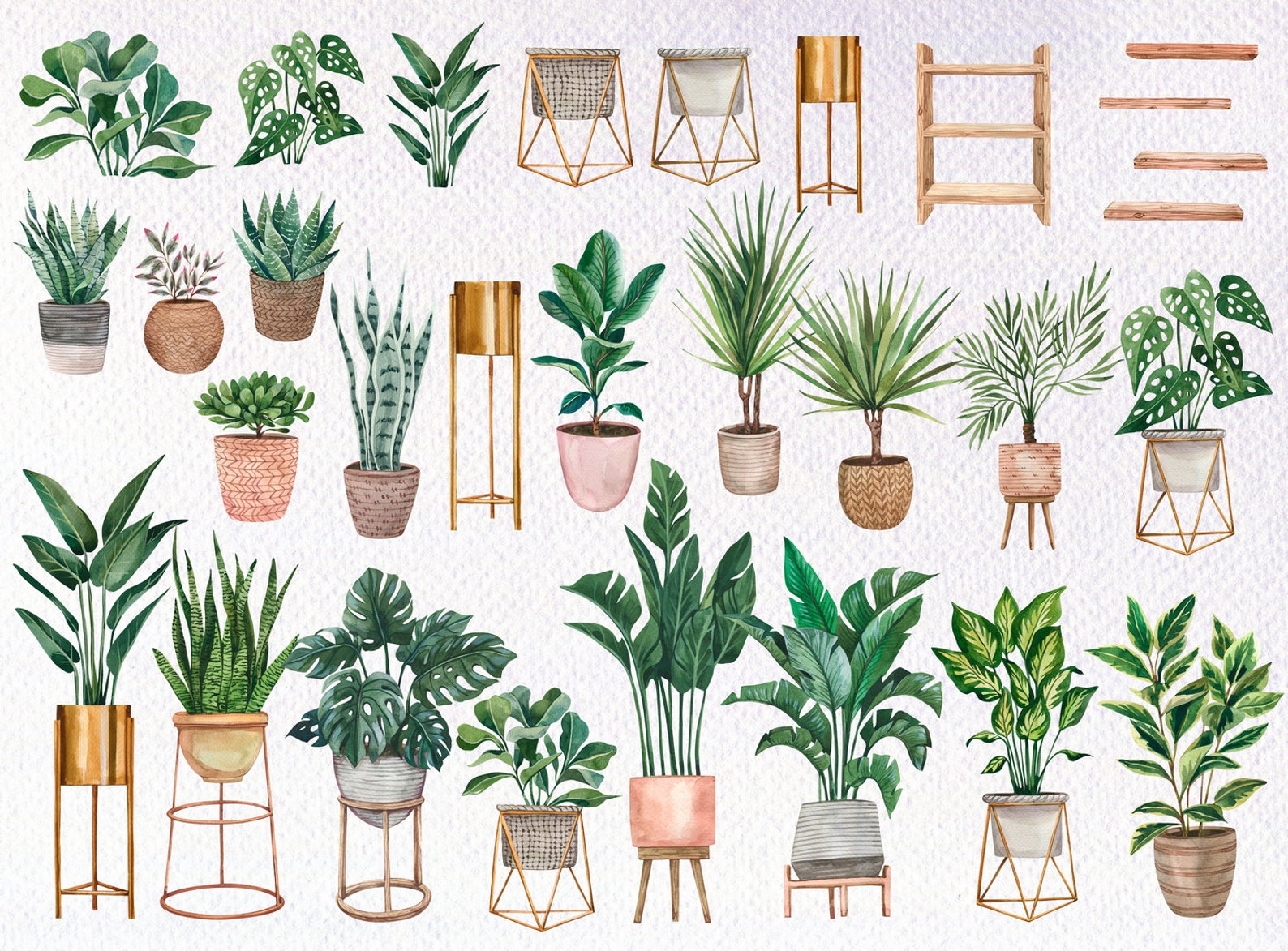 Watercolor House Plants Clipart Indoor Plants Greenery Home - Etsy