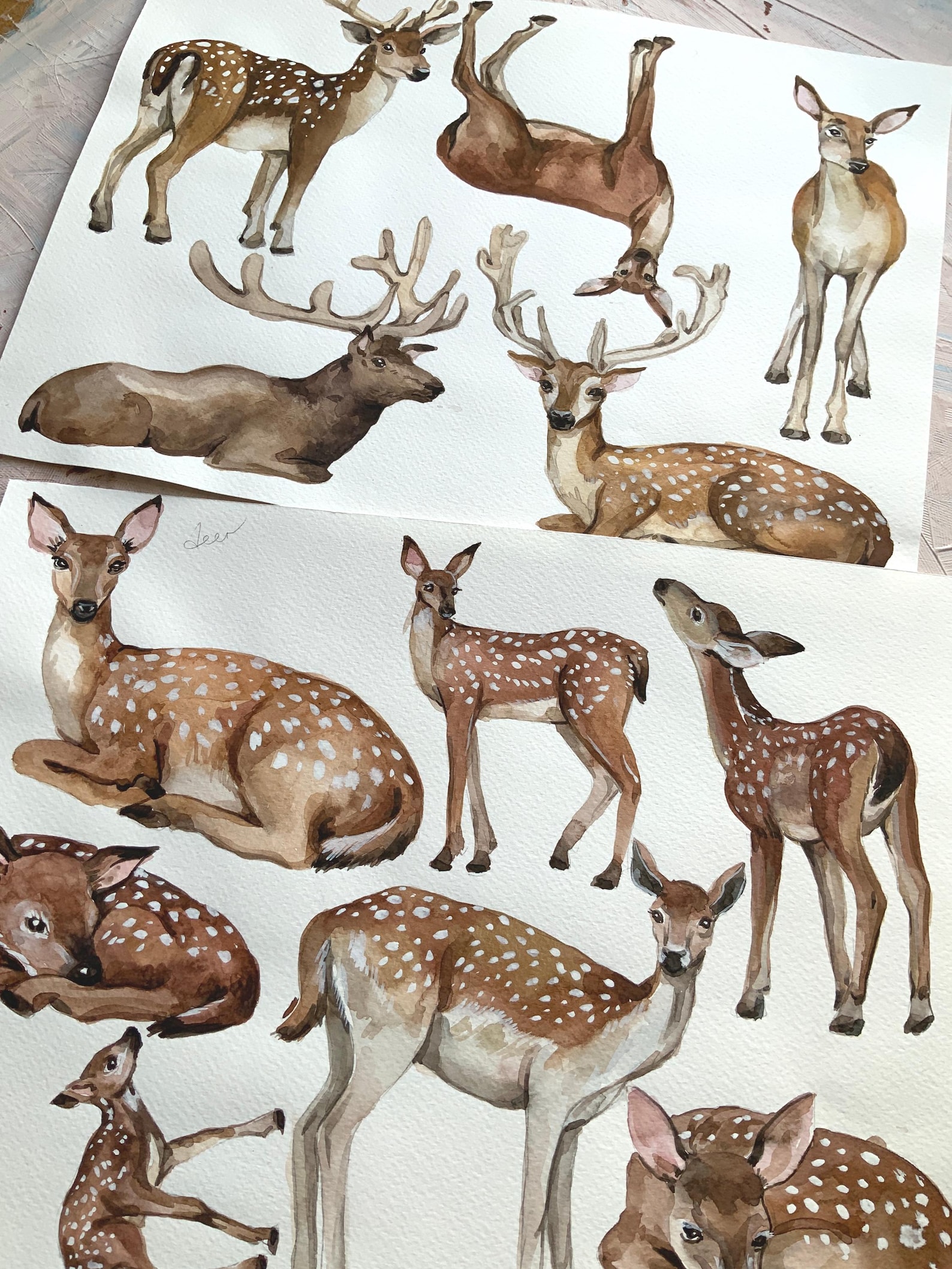 Watercolor Deer Clipart, Nursery Decor, Deer PNG, Watercolor Animals ...