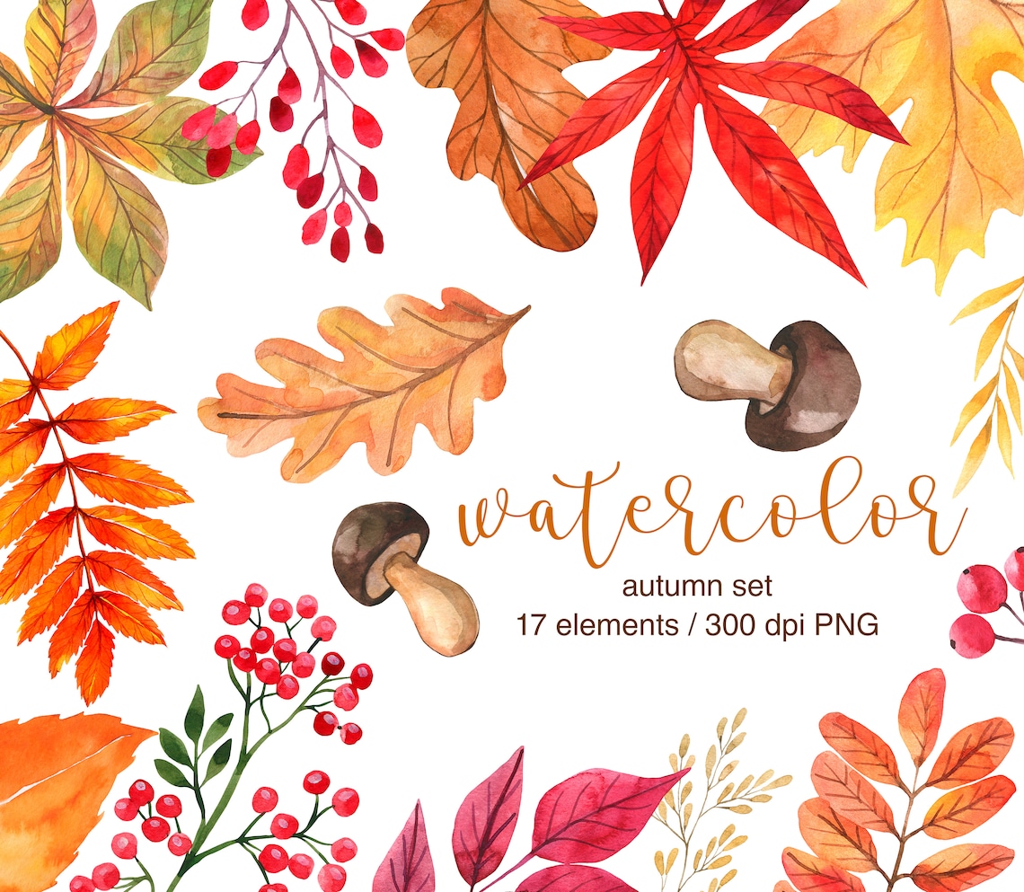 Watercolor Autumn Leaves Clipart Hand Painted Fall Leaf - Etsy