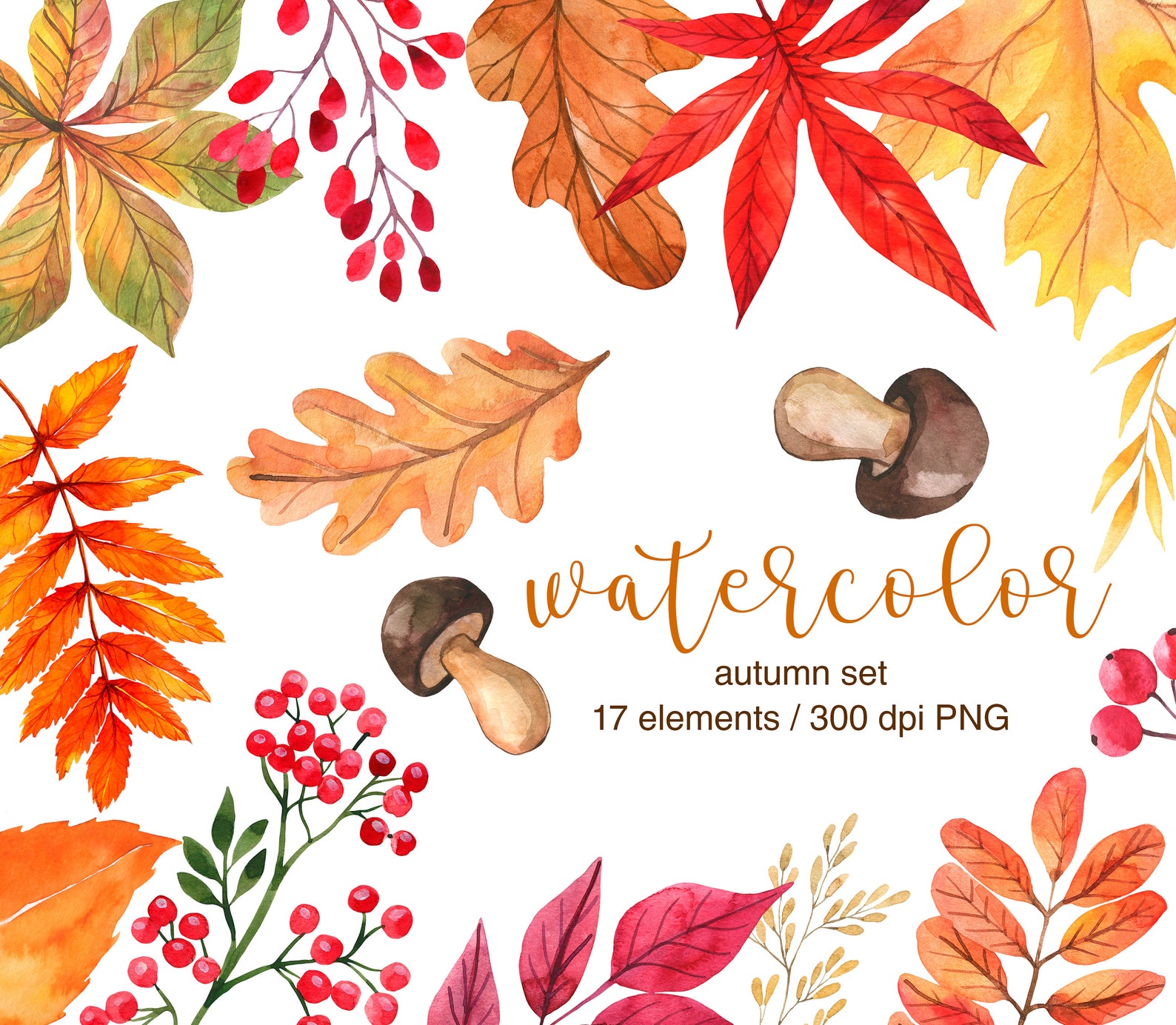 Watercolor Autumn Leaves Clipart Hand Painted Fall Leaf - Etsy