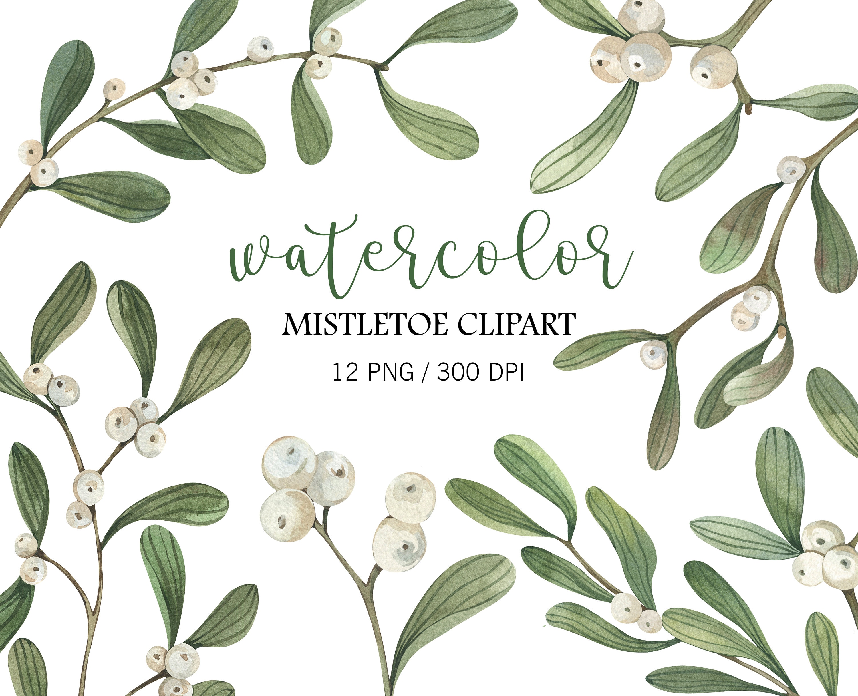 Watercolor Mistletoe Clipart Christmas Mistletoe Clipart - Etsy