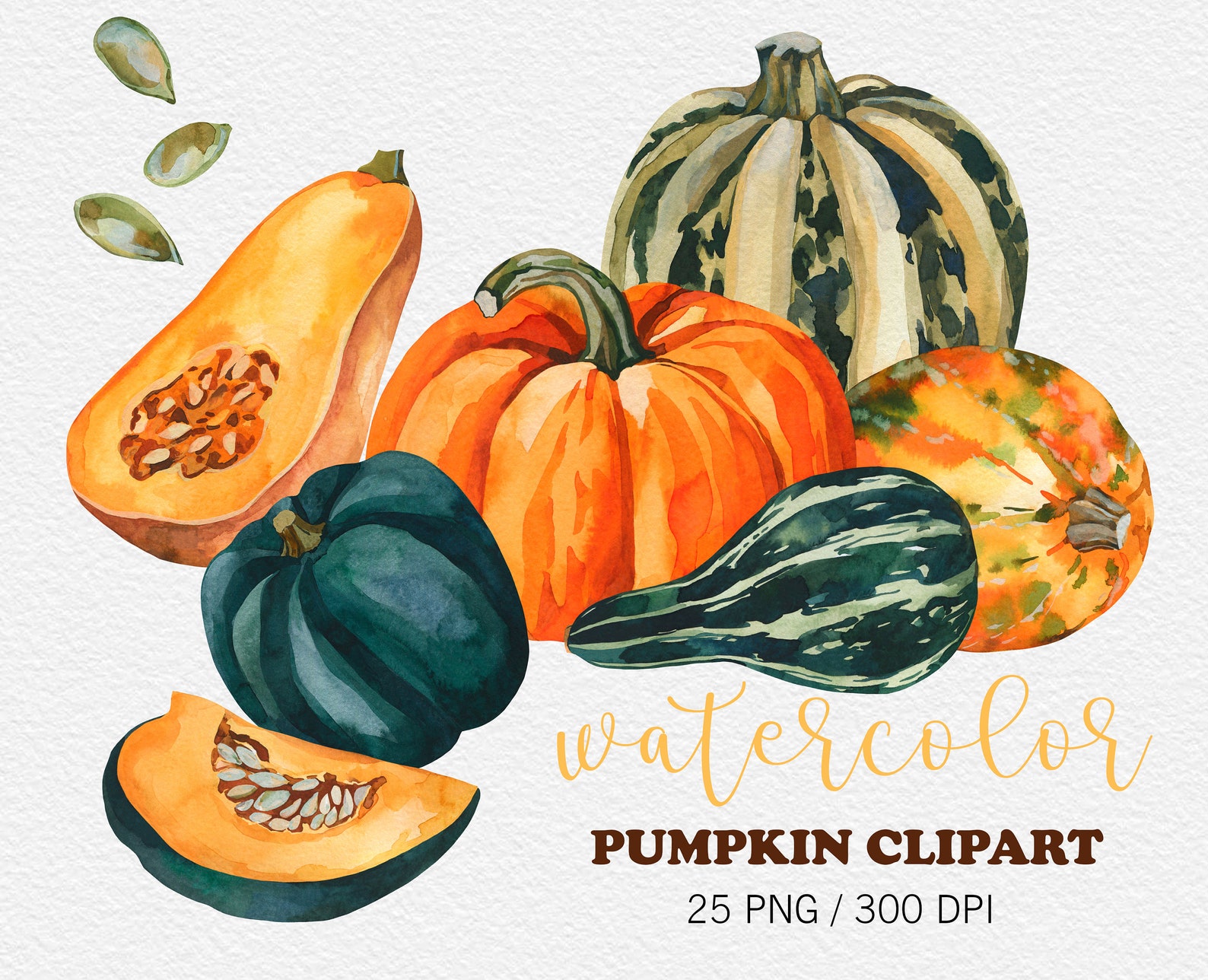 Watercolor Pumpkin Clipart Fall Clipart Pumpkin PNG - Etsy