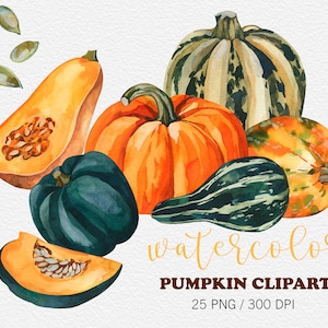 Watercolor Pumpkin Clipart, Fall Clipart, Pumpkin PNG, Halloween ...