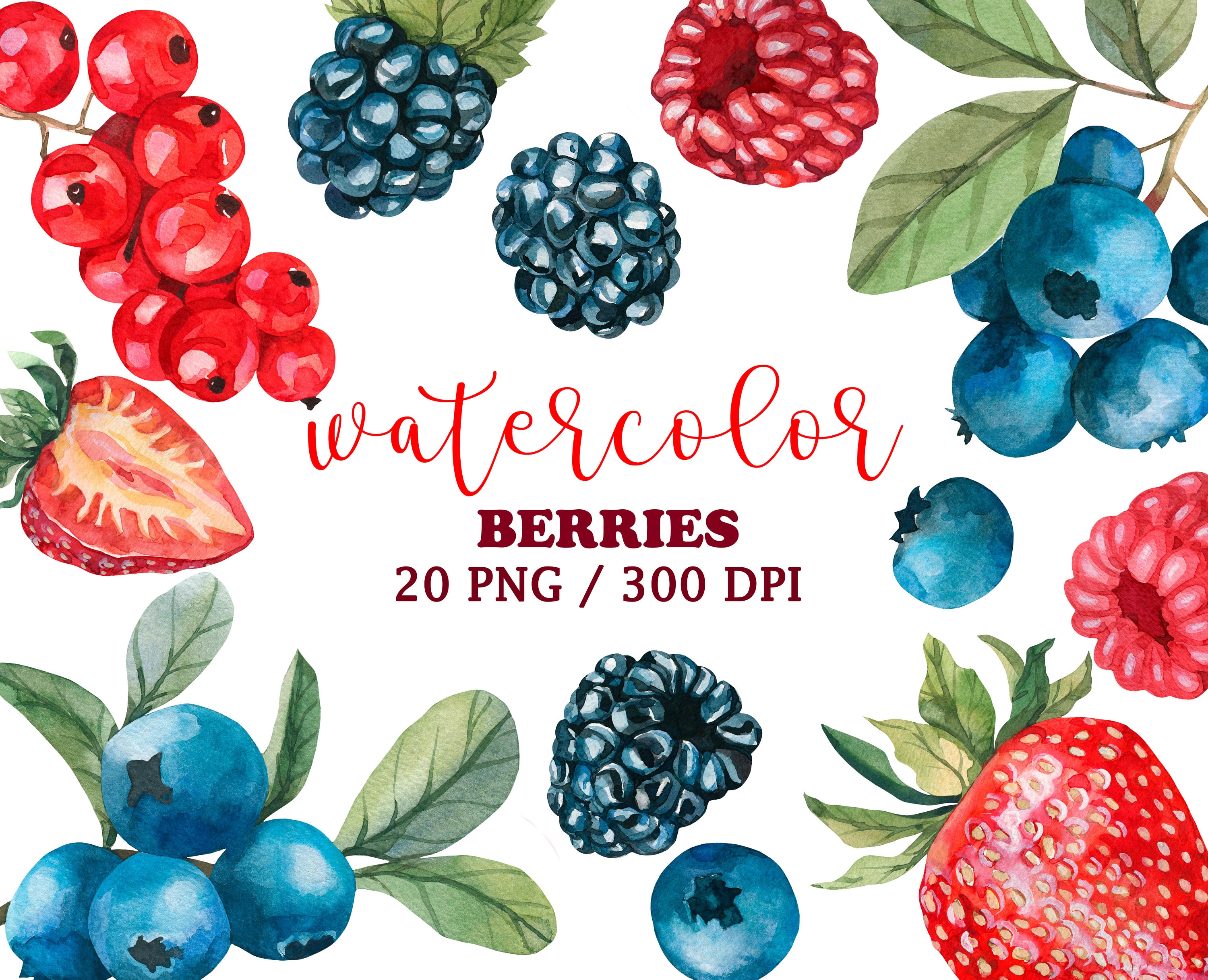 Clipart Berries