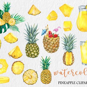 Watercolor Pineapple Clipart, Tropical Fruits Clipart, Summer Beach ...
