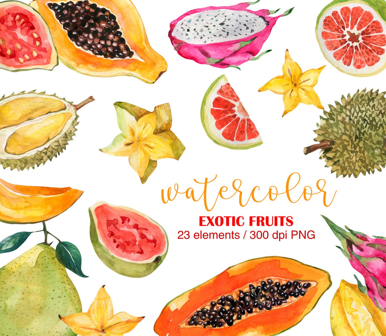 Watercolor Exotic Fruits Clipart Watercolor Tropical Fruits - Etsy
