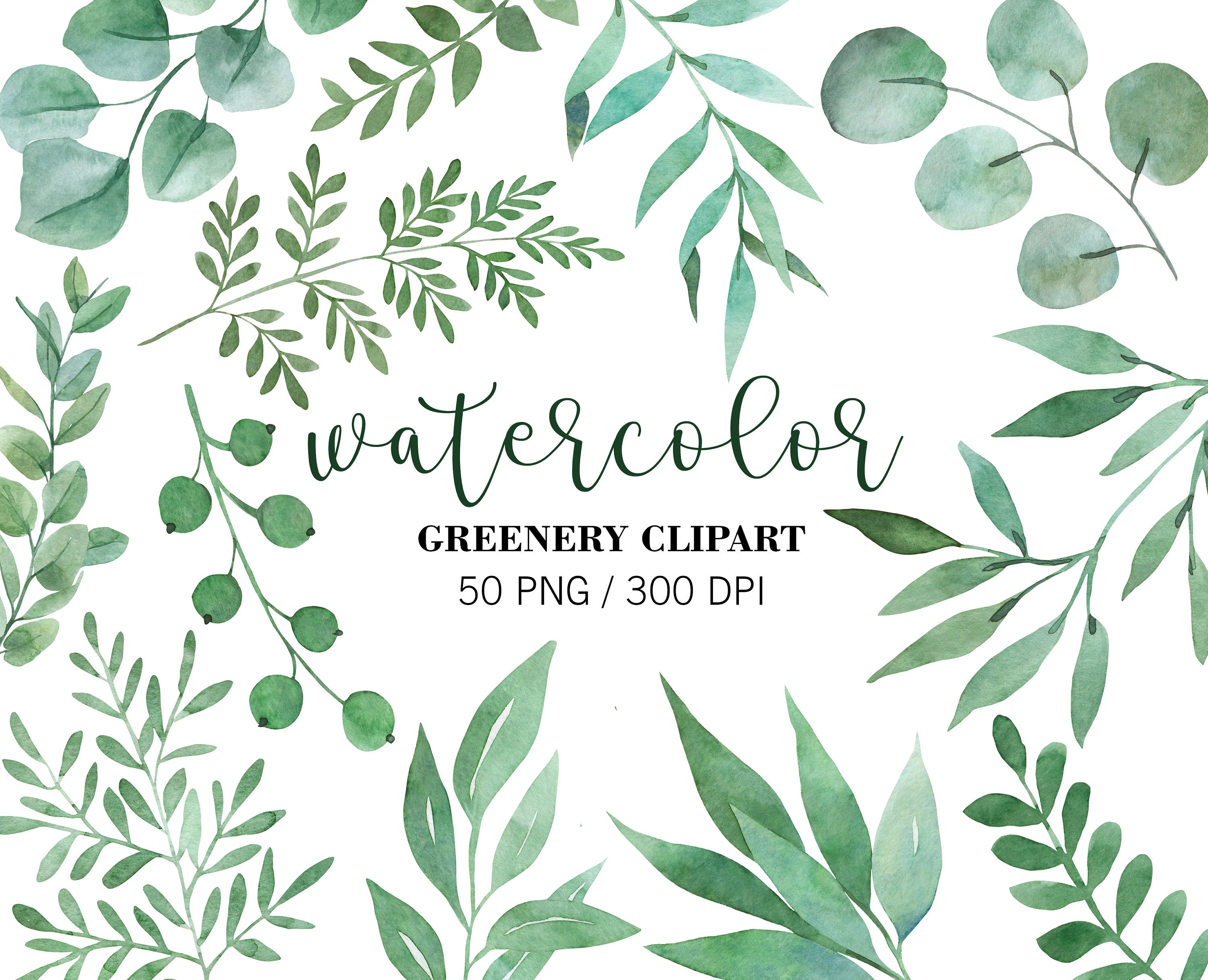 Scrapbooking Watercolor eucalyptus branches and leaves clipart ...