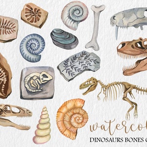 Watercolor Dinosaur Fossils Clipart, Dinosaur Clipart Dinosaur Skeleton ...