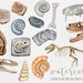 Watercolor Dinosaur Fossils Clipart, Dinosaur Clipart Dinosaur Skeleton ...