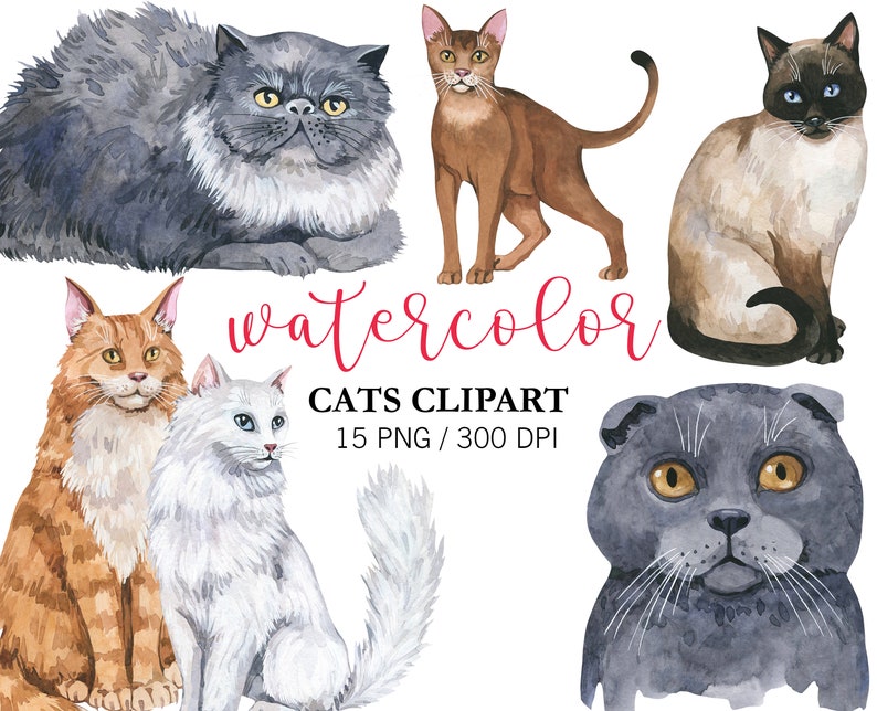Watercolor Cat Clipart Animal Clipart Cats Portrait Nursery - Etsy