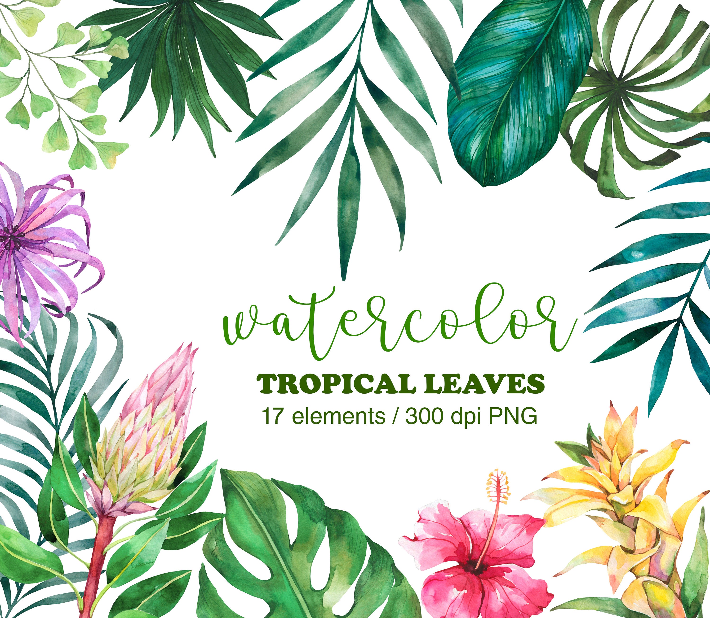 Watercolor Tropical Leaves Clipart Tropical Clipart PNG - Etsy