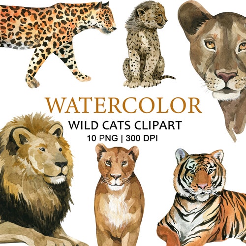 Watercolor Wild Cats Clipart Animals Clipart Nursery Decor - Etsy