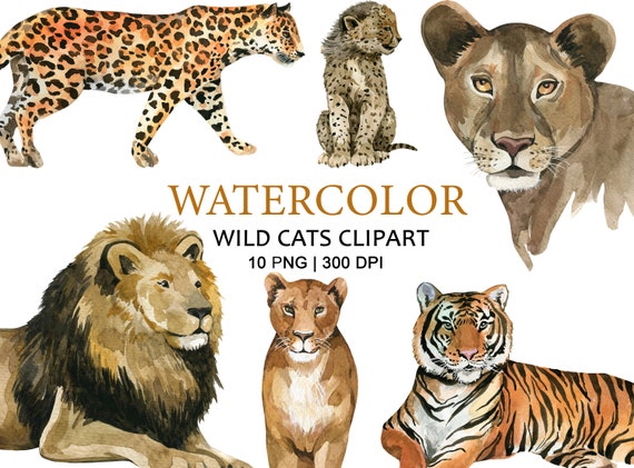 Watercolor Wild Cats Clipart Animals Clipart Nursery Decor - Etsy
