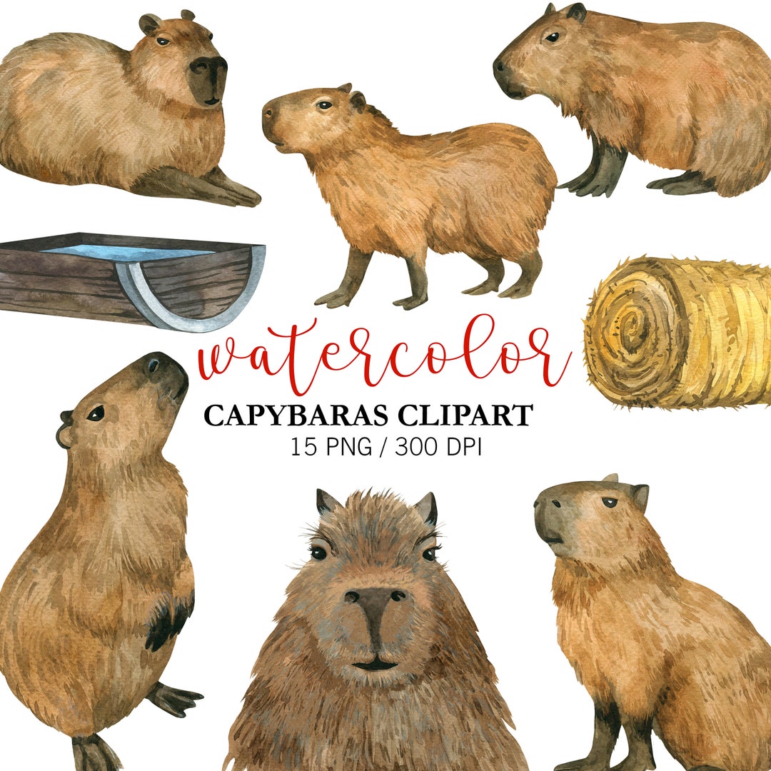 Watercolor Capybara Clipart, Nursery Decor, Animal Clipart, Baby ...