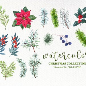 Watercolor Winter Clipart. PNG. Christmas Clipart. Pine Brunches. Red ...