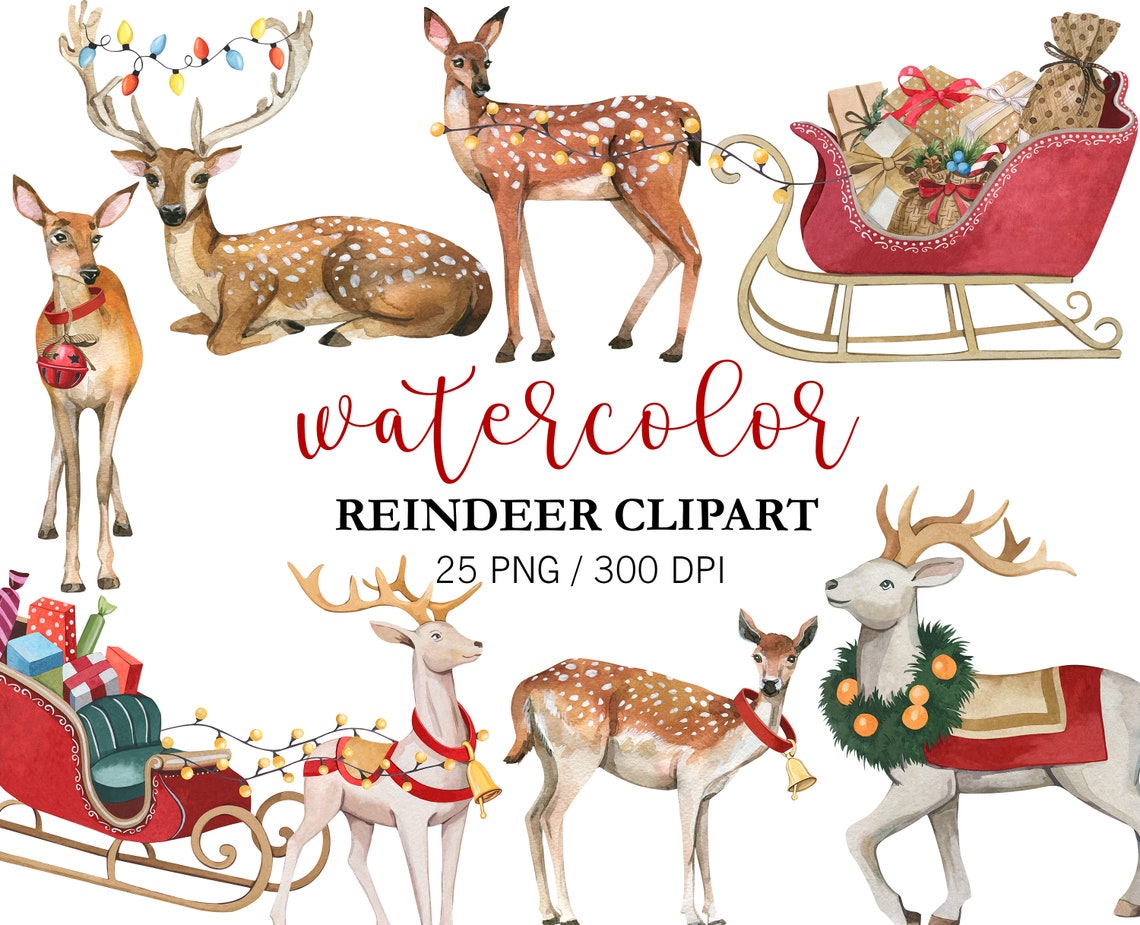 Watercolor Reindeer Clipart Christmas Clipart Reindeer PNG - Etsy