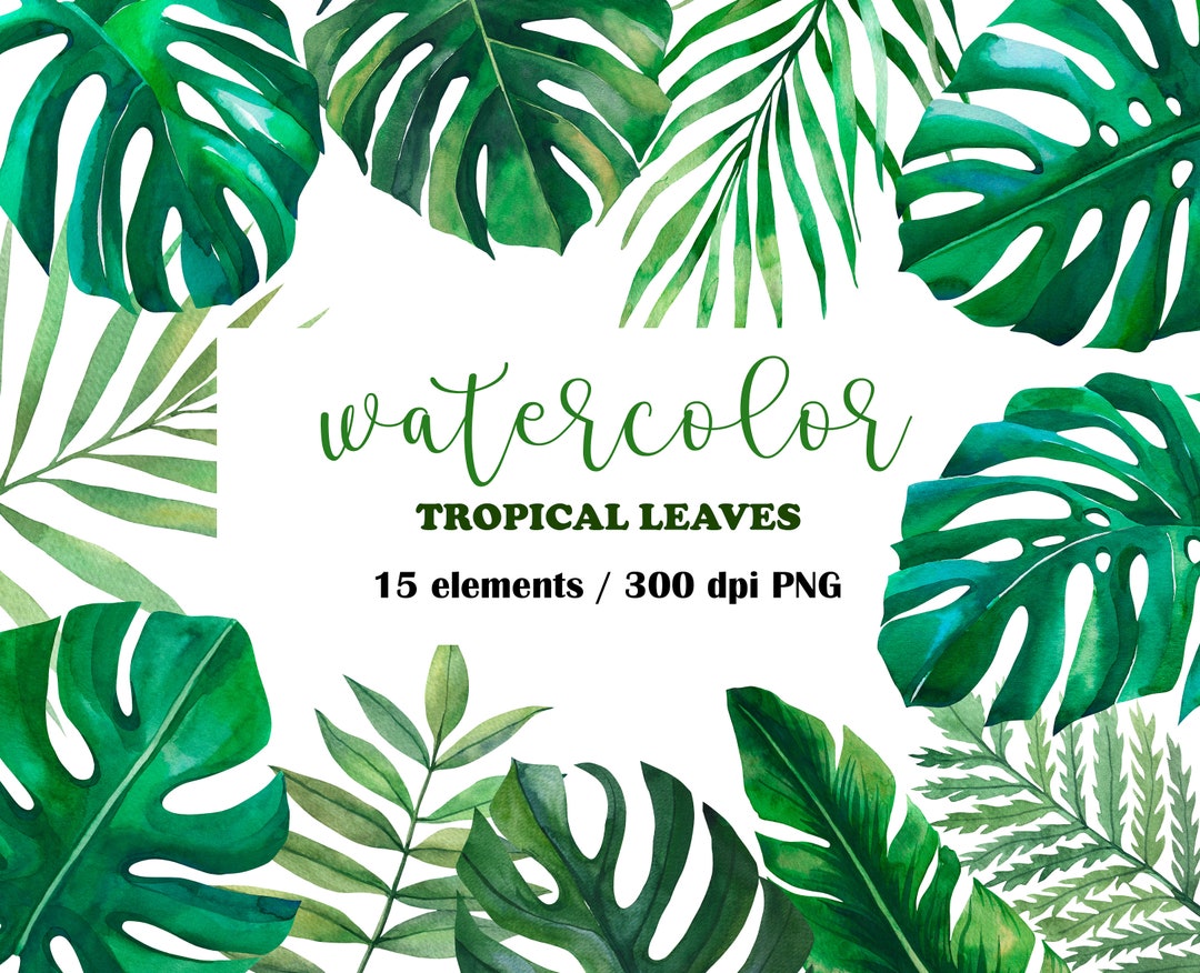 Watercolor Tropical Leaves Clipart, Monstera Clipart, Jungle Clipart ...