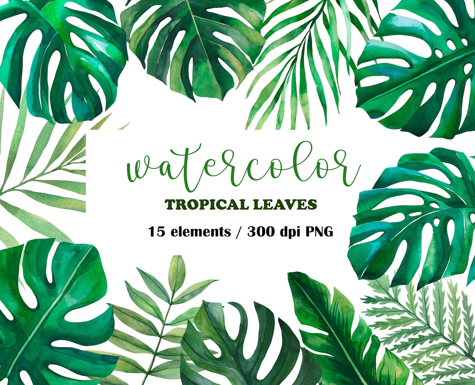 Watercolor Tropical Leaves Clipart Monstera Clipart Jungle - Etsy