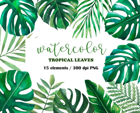 Jungle Leaf Clip Art
