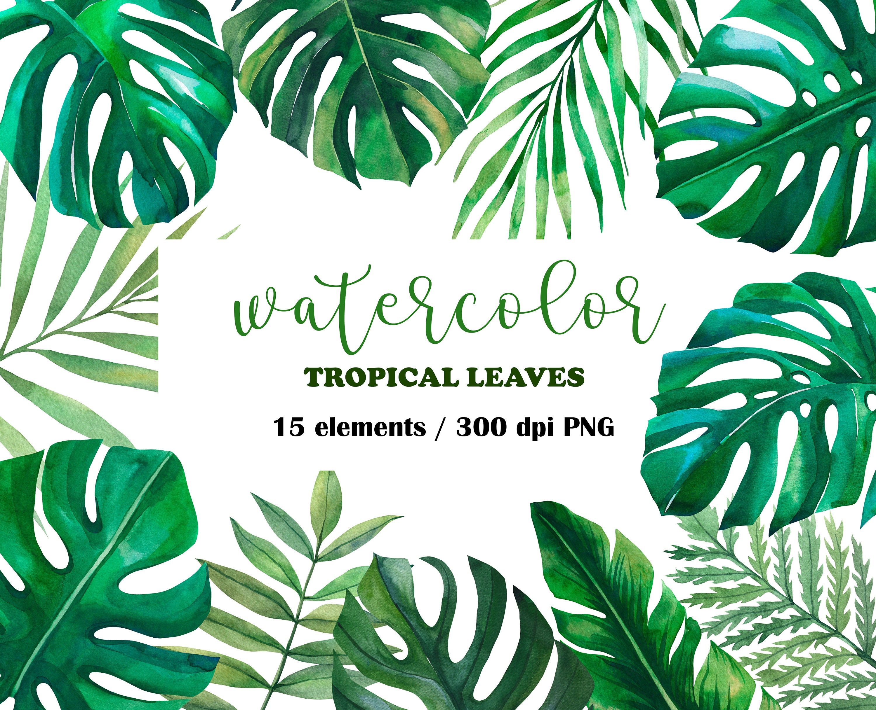 Watercolor Tropical Leaves Clipart Monstera Clipart Jungle - Etsy